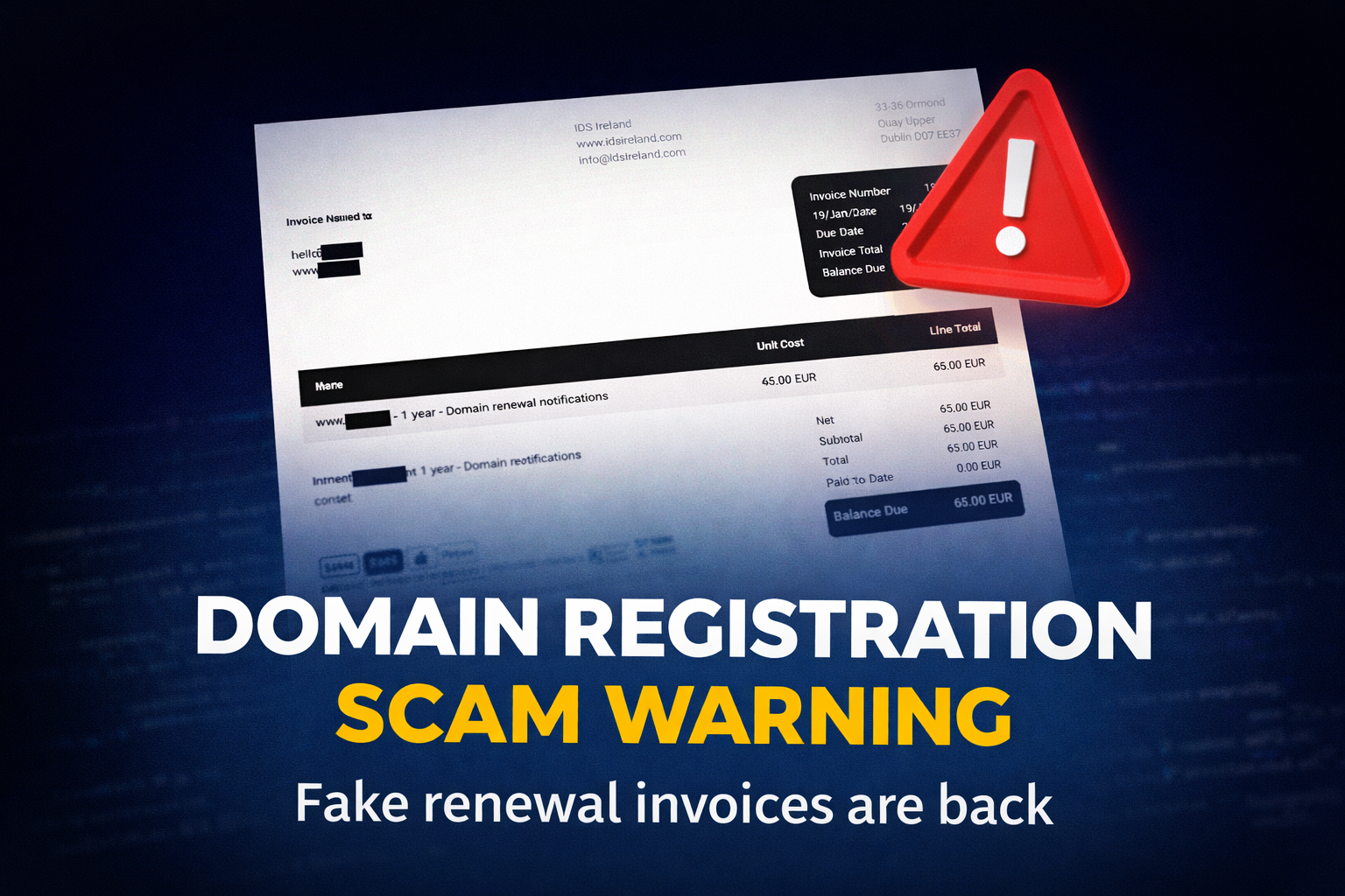 Domain Registration Scam | Abacus Systems